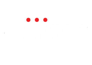Press - Gijima